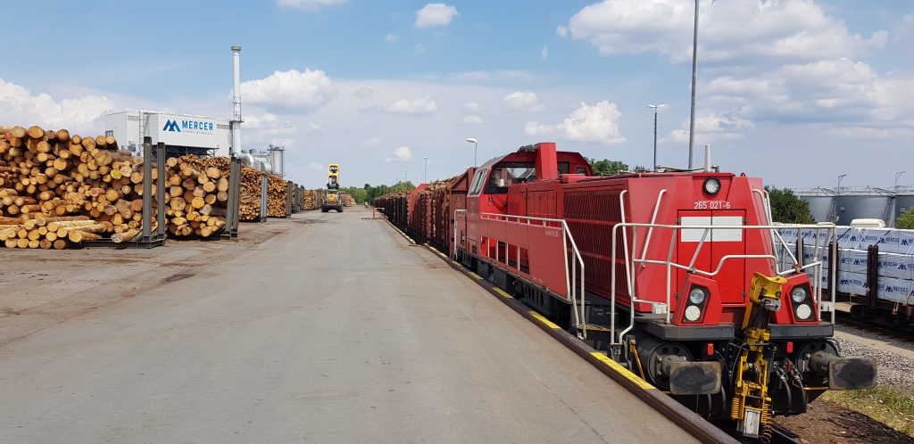 Mercer International: working together for sustainability – Sofidel ...