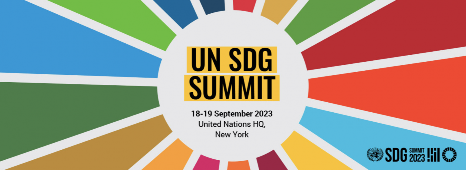 Our people and our planet: Spotlight on the 2023 SDG Summit – Sofidel ...