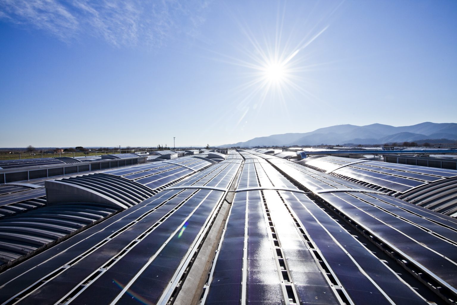 Spotlight – Sofidel – Future